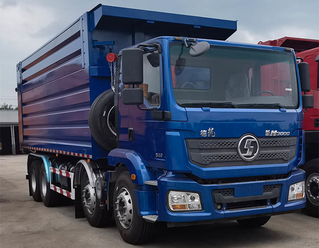 Shacman elevó la rueda de Tipper Dump Truck F3000 8x4 12 del marco
